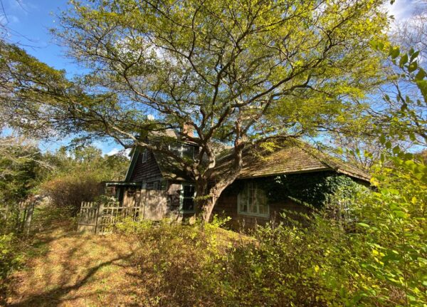 Peter Matthiessen's East End Home-Studio-Zendo - Preservation Long Island